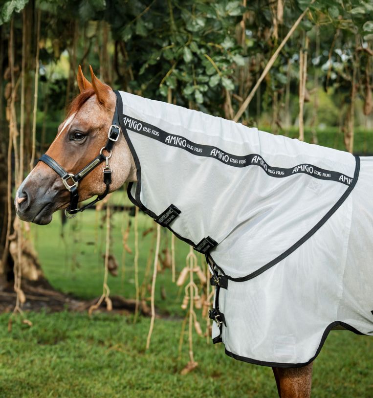 Amigo® Bug Rug Quarter Horse Hood – Horseware Ireland