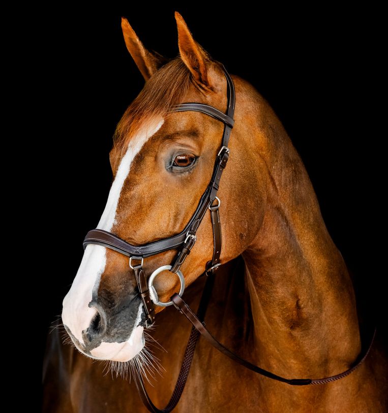 Horseware Micklem® Competition Bridle – Horseware Ireland